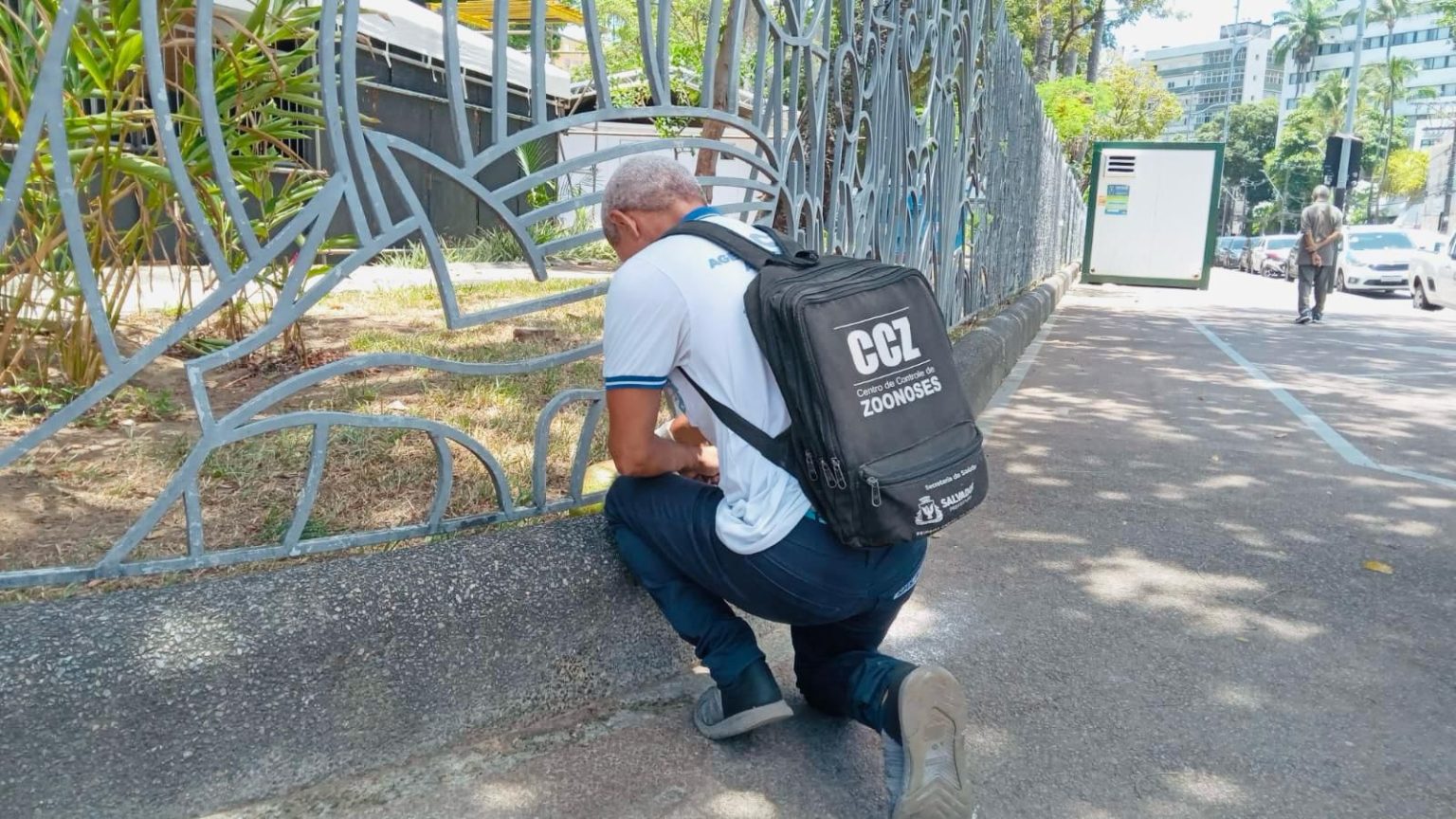 CCZ REFORÇA AÇÕES DE COMBATE AO AEDES AEGYPTI DURANTE CAMPANHA NACIONAL ...