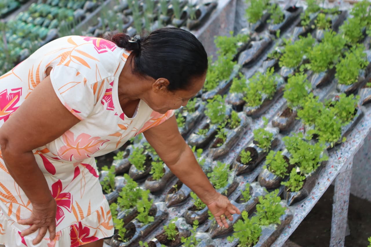 GOVERNO DA BAHIA E SOLAR COCA-COLA ENTREGA PRIMEIRA HORTA SUSTENTÁVEL ...
