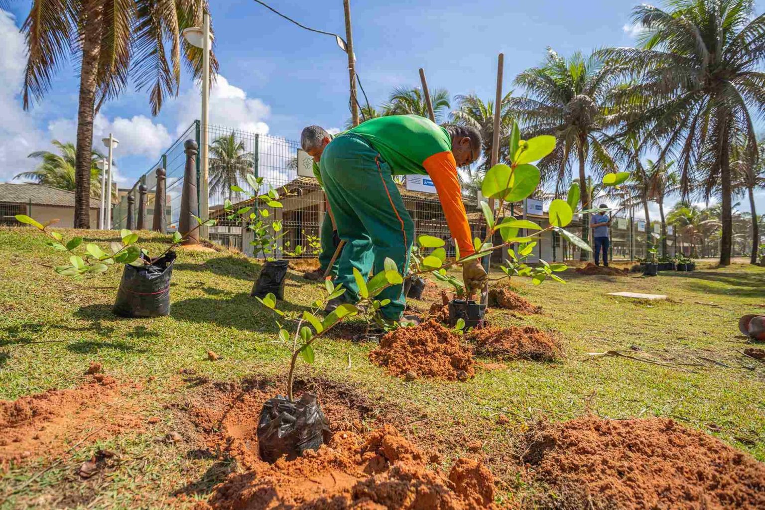 SALVADOR ALCANÇA NOTA A EM LISTA DE CIDADES DO CDP 2025 - Bahia Economica